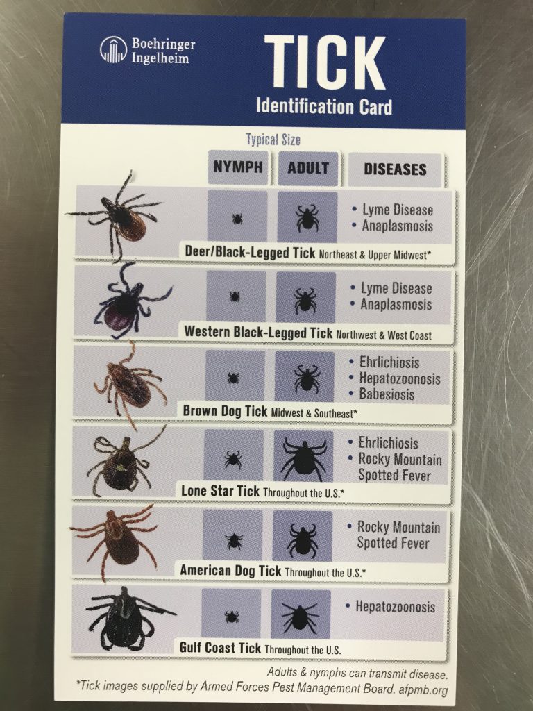 TICKCHART | Broadway Veterinary Hospital