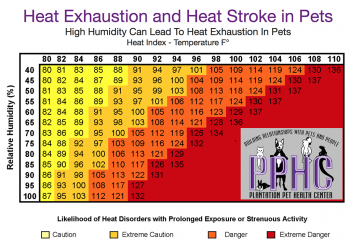 Beat The Heat! | Broadway Veterinary Hospital